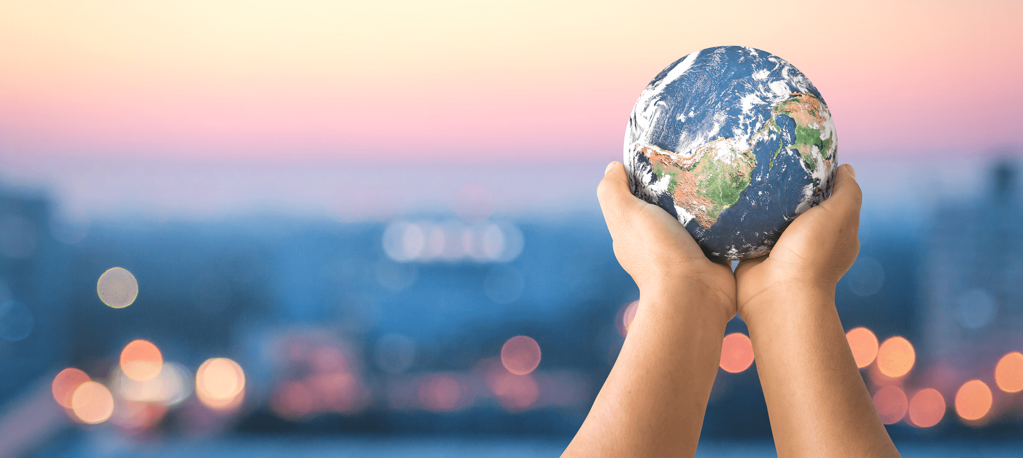 Giver | The Art Of Giving